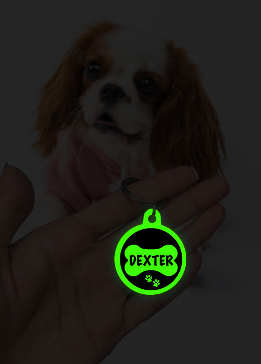 Dexter | Dog Tag | Glow in Dark – Mi Glow Store
