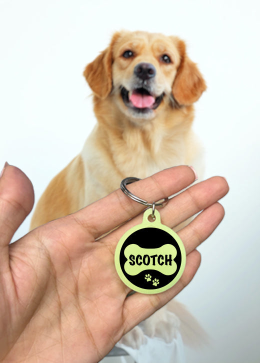 Scotch | Dog Tag | Glow in Dark – Mi Glow Store