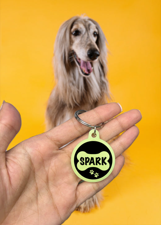 Spark | Dog Tag | Glow in Dark – Mi Glow Store