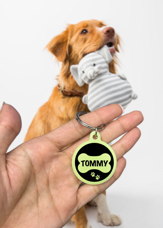 Tommy | Dog Tag | Glow in Dark – Mi Glow Store